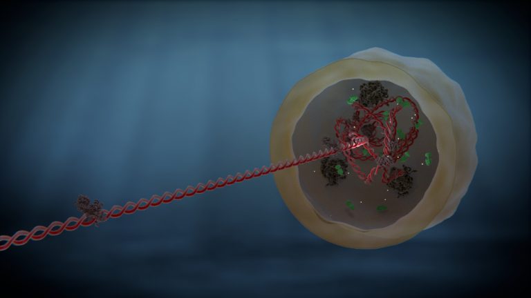 On how to build a synthetic cell – Scixel