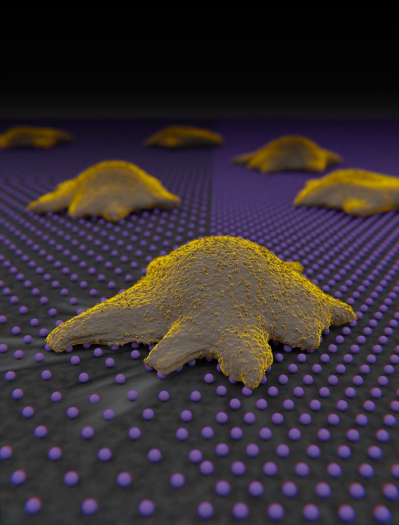 Send the scouts!!! – Scixel